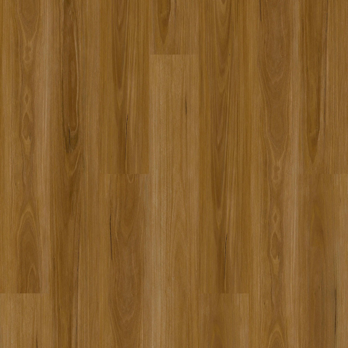 Belize: Flooded Gum | QEBS Builders Warehouse