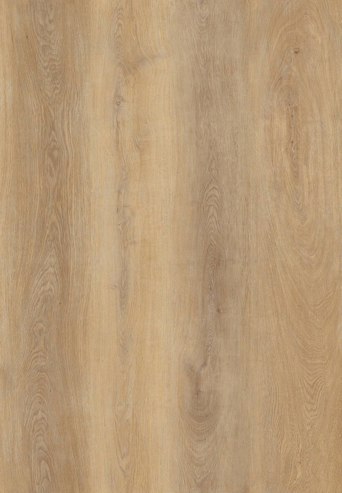 Metropol 1500 Brass Oak — QEBS