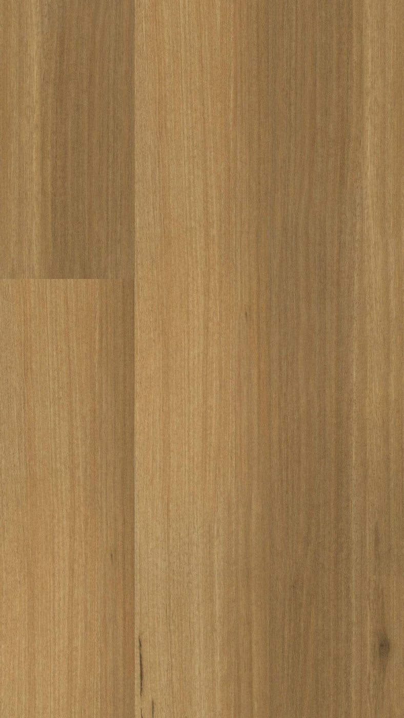 Apollo Tallowood — QEBS